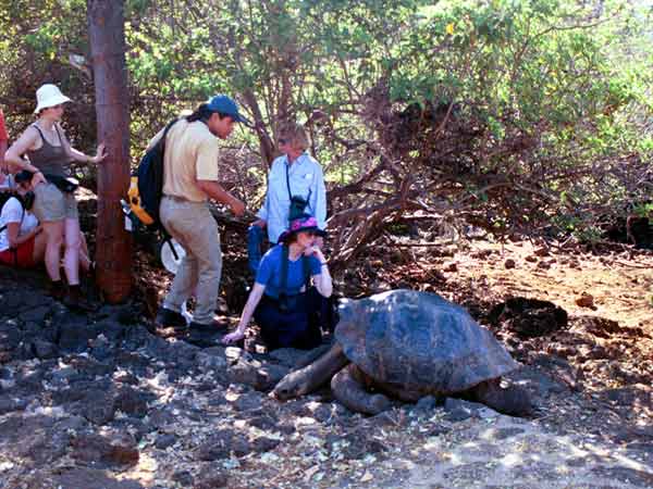 Marine Expeditions Galapagos Islands Day 3